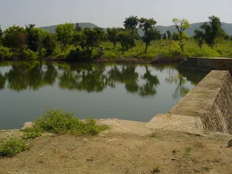 Check Dams - A Practical Solution For India's Water Crisis